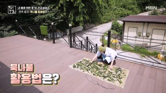 면역 충전! 묵나물 활용법은? MBN 250801 방송 | ZUM TV