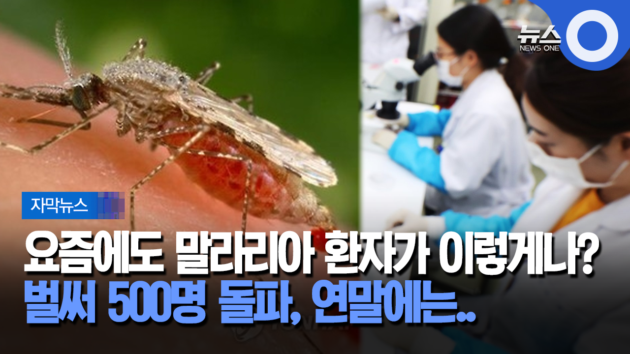 [자막뉴스] 요즘에도 말라리아 환자가 이렇게나?, 벌써 400명 돌파, 연말에는.. / OBS 뉴스 | ZUM TV