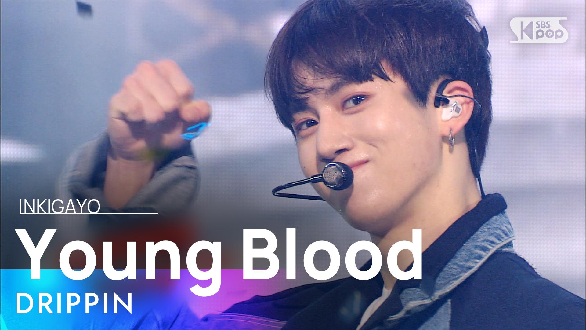 DRIPPIN(드리핀) - Young Blood @인기가요 inkigayo 20210328 | ZUM TV