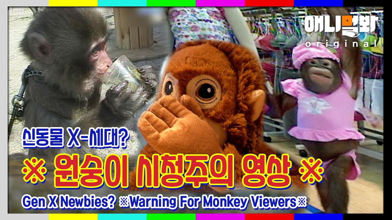 신동물 x-세대 :그때 그 동물ㅣ[Gen X Newbies: Animals Back in the Day Ep. 1] Goofy Monkeys | ZUM TV