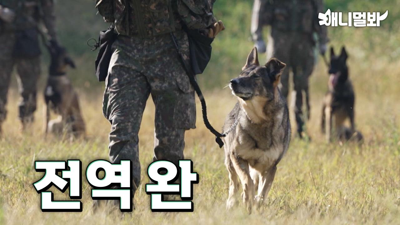 군견 우도 전역 완! 새로운 보금자리 찾슴돠 🐶ㅣMilitary dog Udo's discharge! New home found ...