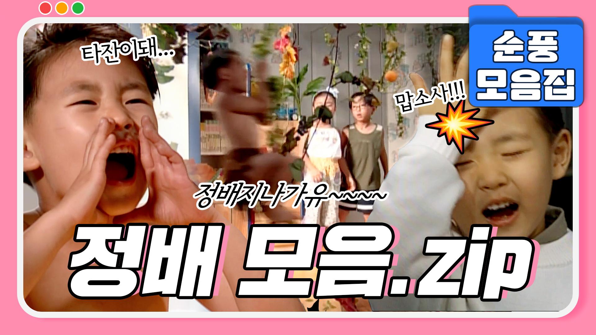 [#시트콤모음집] 귀여운 순풍의 신스틸러💥 맙소사~! 정배🤦 모음.zip | ZUM TV