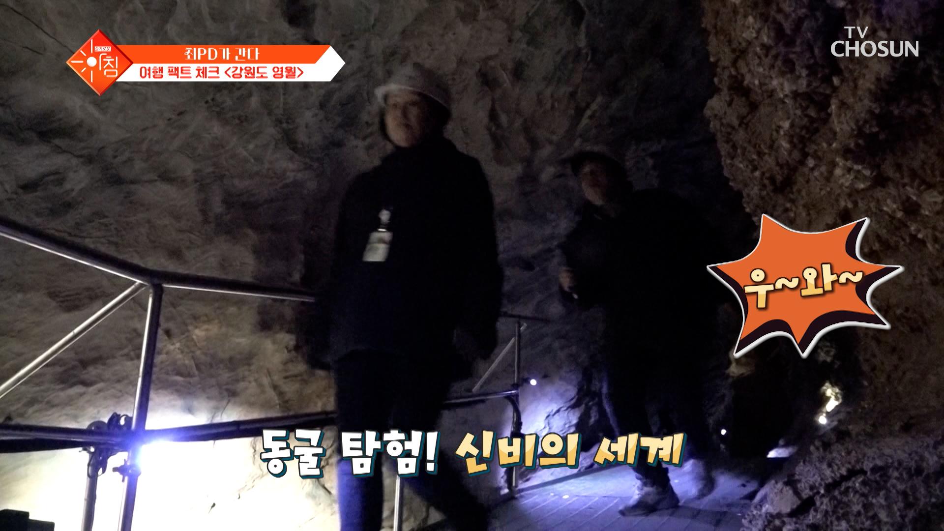 나랑 박쥐🦇 보러 가지 않을래😜? 4억 년 된 🤎강원도 영월의 고씨굴🤎 TV CHOSUN 250304 방송 | ZUM TV