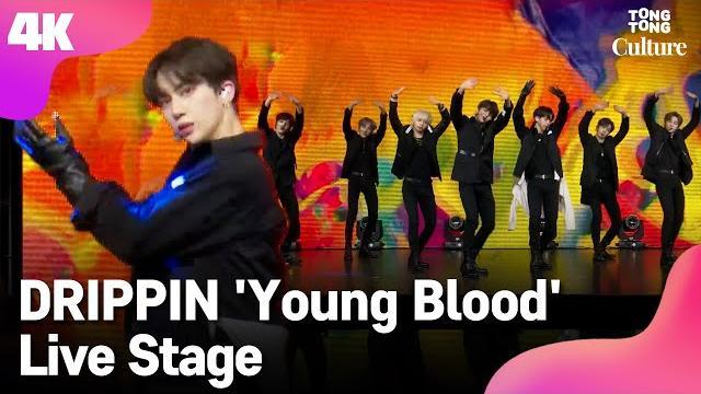 [4K LIVE] DRIPPIN 드리핀 'Young Blood' Showcase Stage 쇼케이스 무대 (차준호, 황윤성, 김동윤, 이협, 주창욱, 알렉스, 김민서 ...